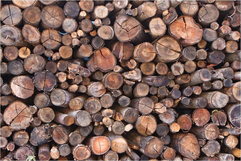 Home - Supply Chain Sustainability School Ireland